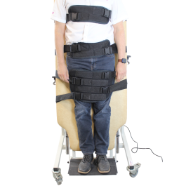 Set of Replacement Tilt Table Straps Buckle Type